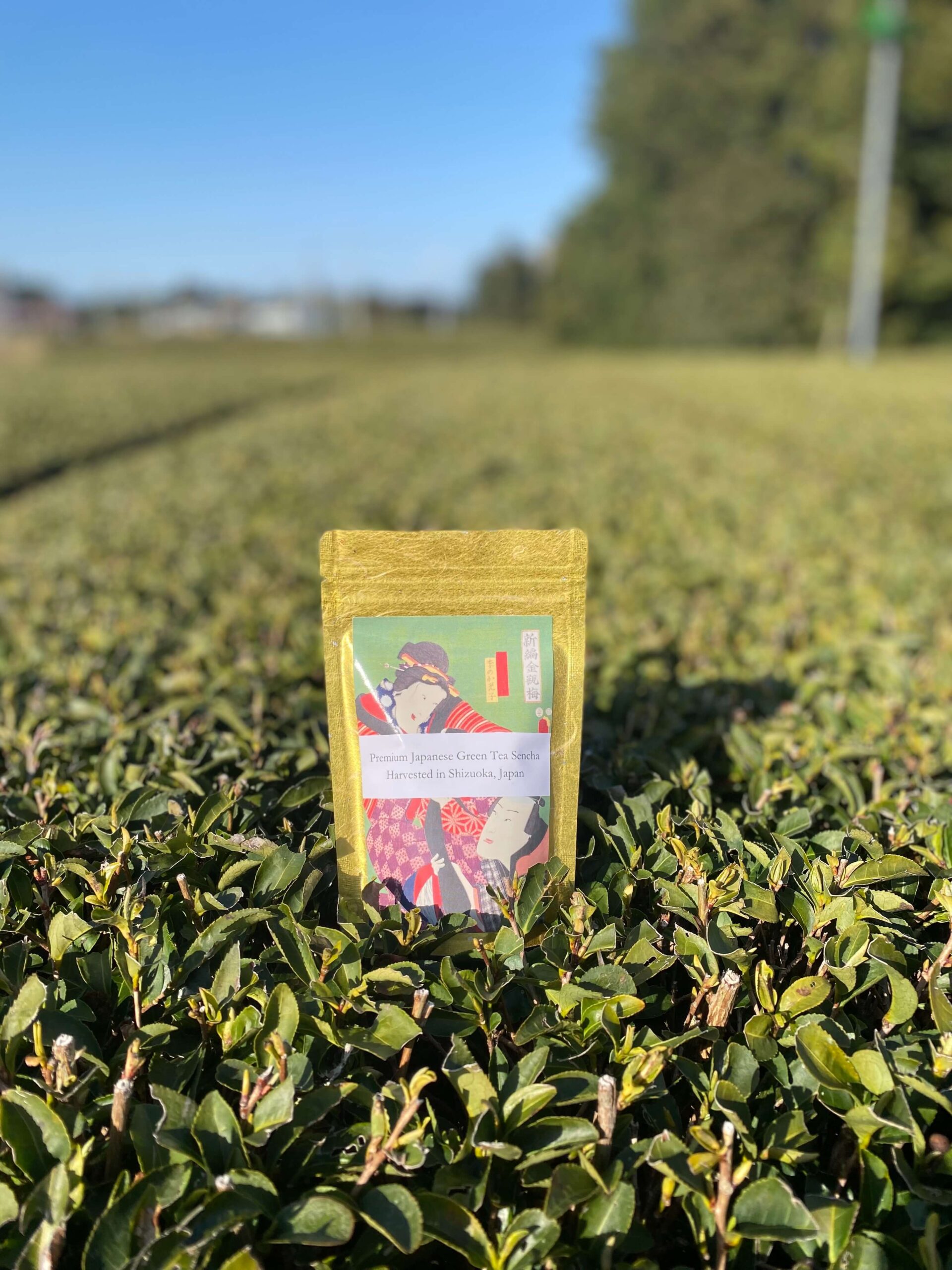 Gentle Sencha (Japanese Green Tea) by Takatsuka-san’s farm – Tokubetsu